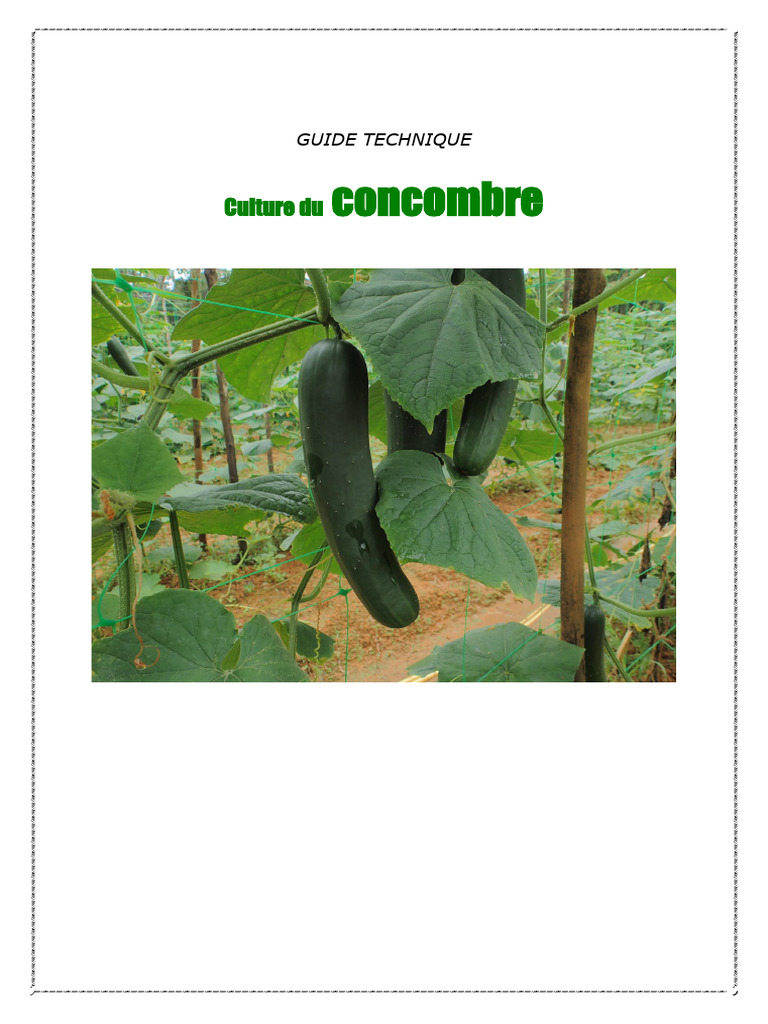 Guide technique sur la culture du concombre | PDF | Fertilisant | Concombre