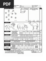 Escala de Berg Original | PDF