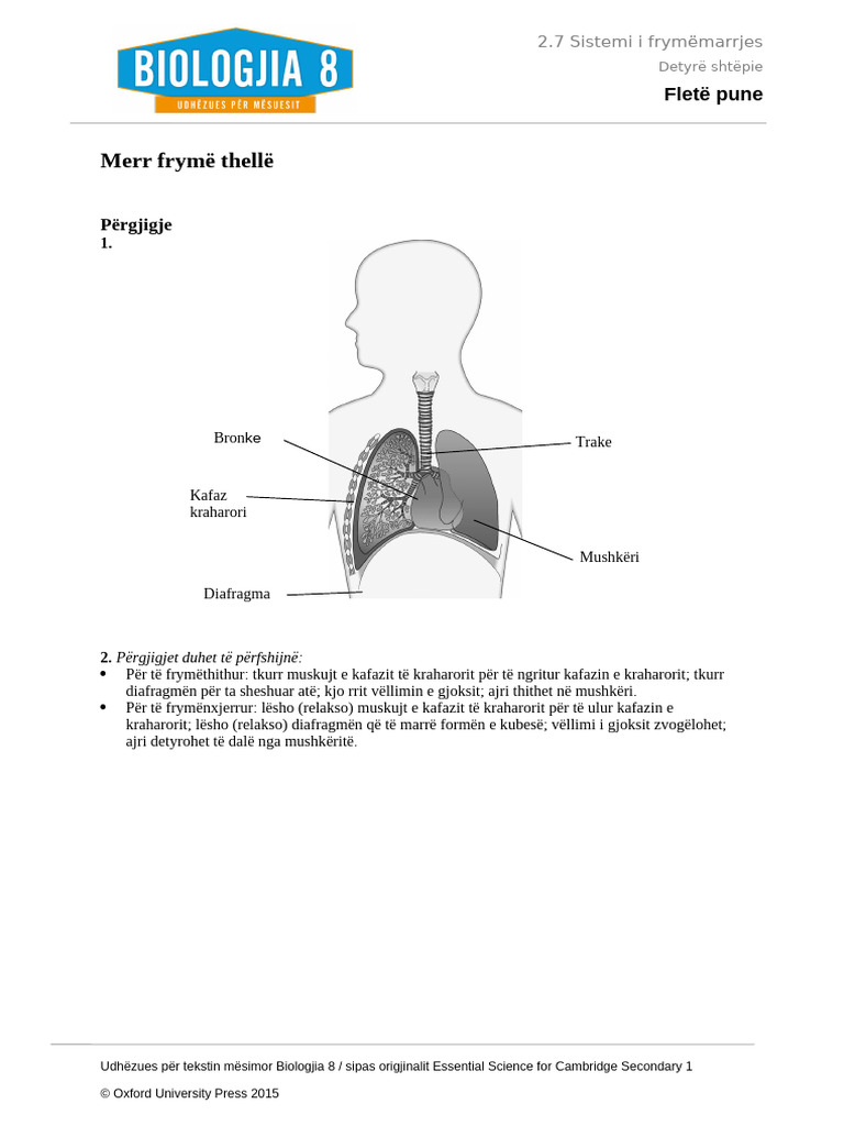 19.sistemi I Frymëmarrjes Detyrë Shtëpie Fletë Pune Përgjigje (Mësimi 2 ...