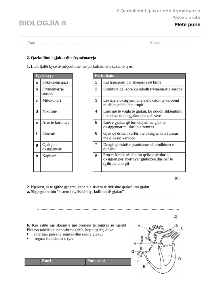 28.qarkullimi I Gjakut Dhe Frymëmarrja Pyetje Praktike Fletë Pune | PDF
