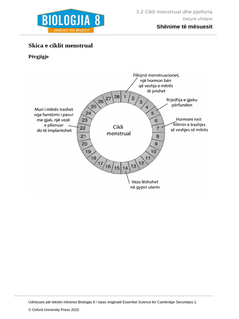 11.cikli Menstrual Dhe Pjelloria Detyrë Shtëpie Shënime Të Mësuesit ...