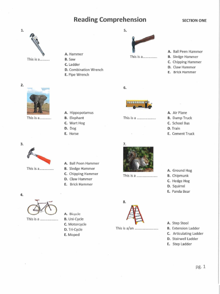 Reading Comprehension | PDF