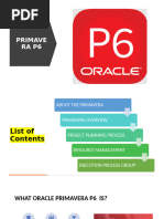 Primavera P6 Version History Overview | PDF | Application Software ...