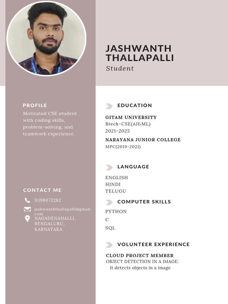 CSE Student Profile with Coding Skills | PDF