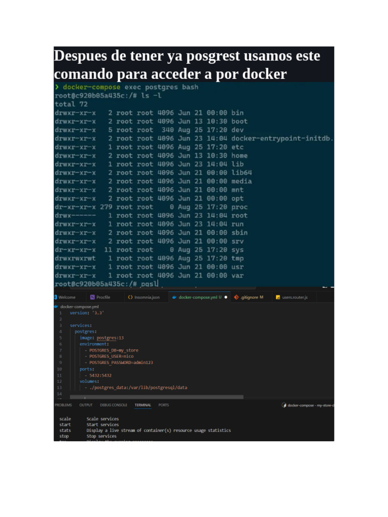 Comandos Docker Posgres | PDF