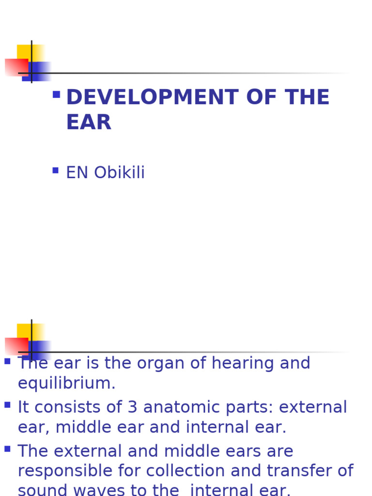 Development of The Ear 5 July 2024 | PDF | Ear | Auditory System