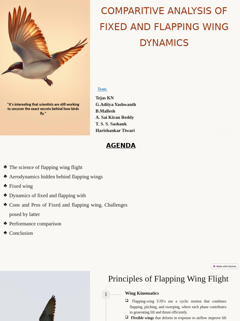 Flapping Wing Flight Dynamics | PDF | Flight | Wing