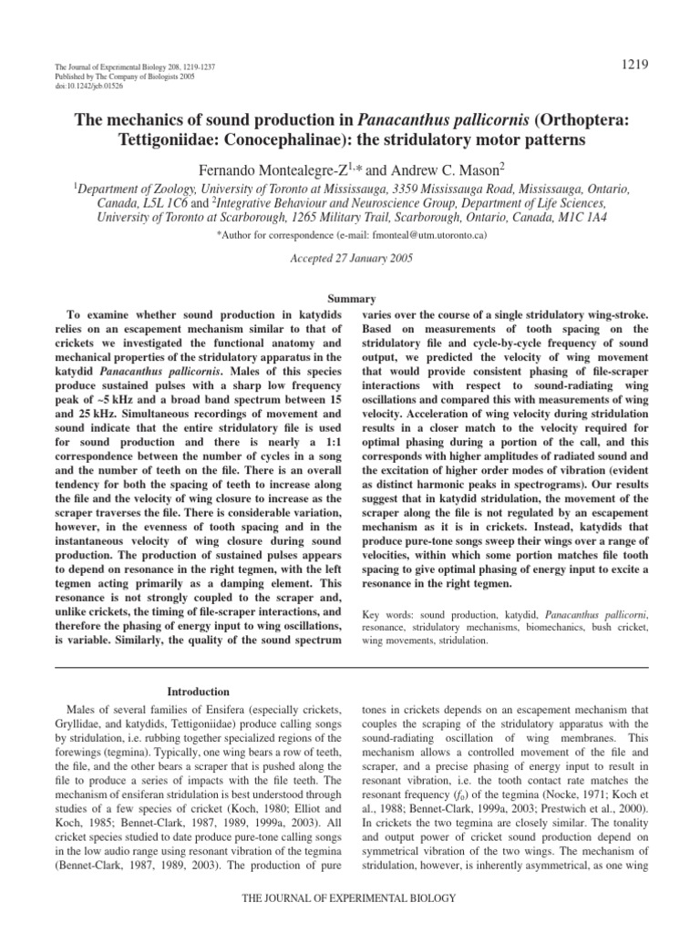 The Mechanics of Sound Production in Panacanthus Pallicornis Orthoptera ...