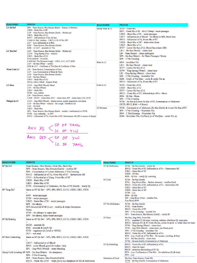 Acupuncture Theory Final Exam Prep Notes | PDF