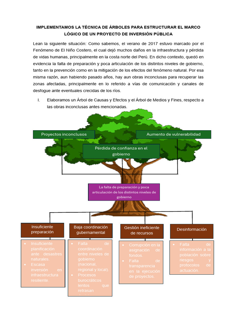 Estructuración de Proyectos de Inversión Pública | PDF | Planificación ...