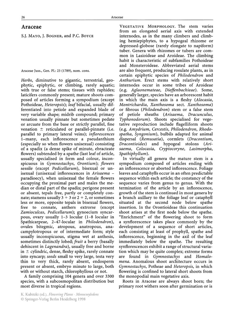 Araceae Families and Genera of Plants | PDF | Leaf | Seed