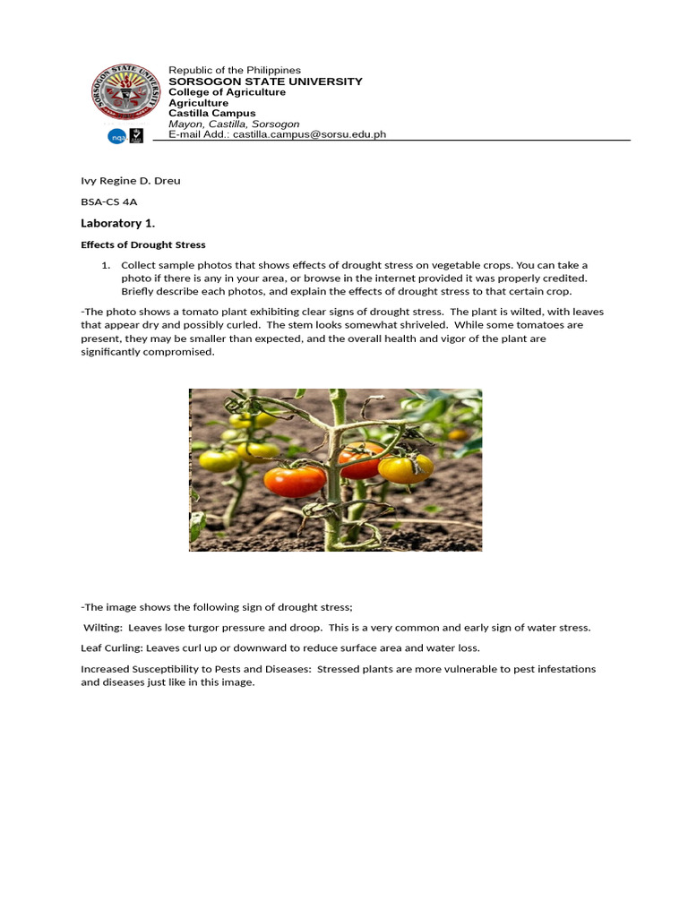 Drought Stress Effects on Vegetable Crops | PDF | Drought | Plant Breeding
