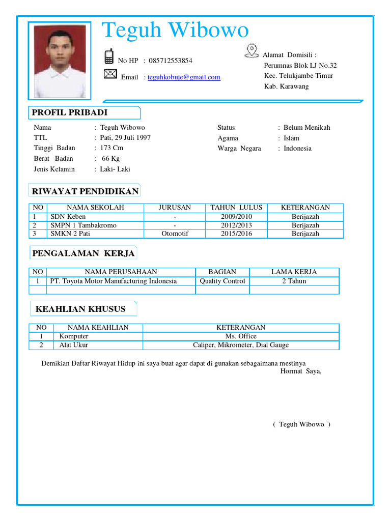 CV TEGUH | PDF