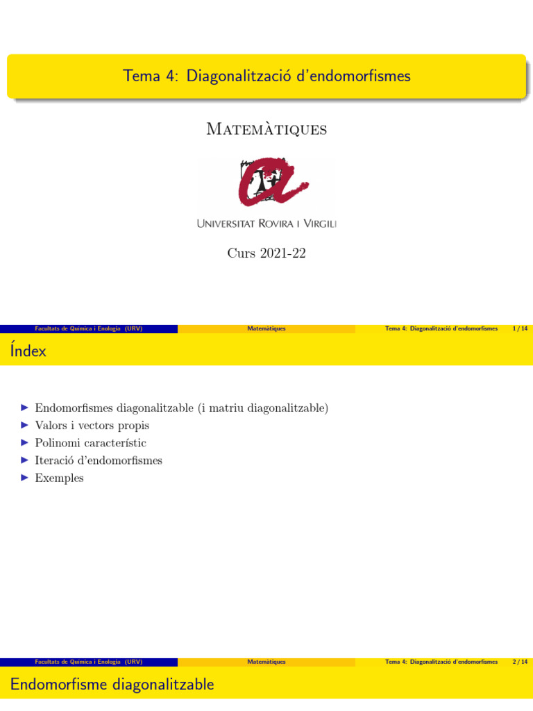 Tema 4 Diagonalitzacio | PDF
