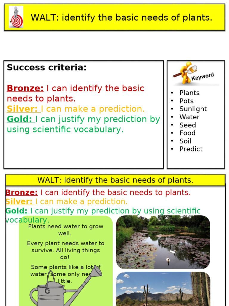 Lesson_1 | PDF | Plants | Seed