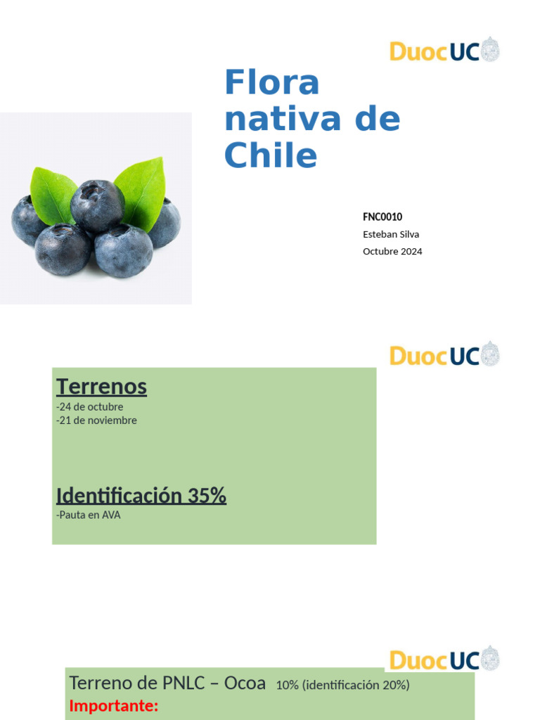 Doble Fecundación en Plantas Angiospermas | PDF | Flores | Plantas