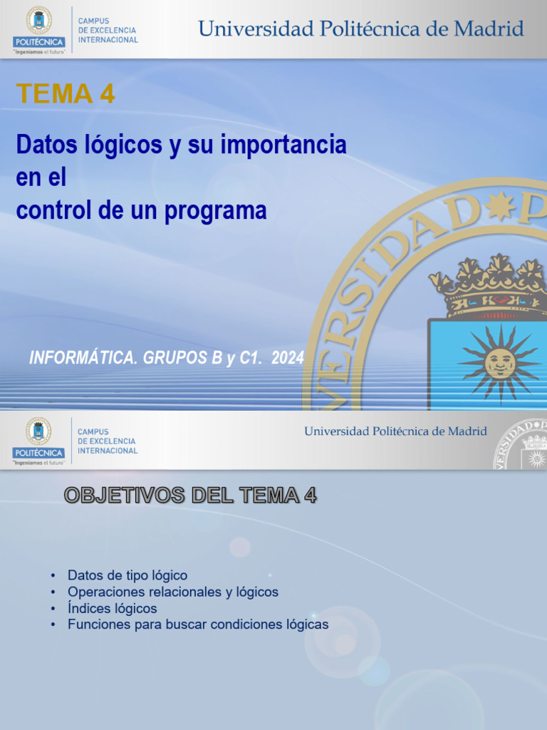 Tema4 Datos Logicos 2024 | PDF | Matriz (Matemáticas) | Variable (informática)