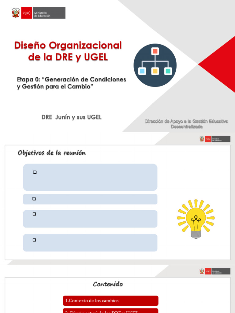 Etapa 1 Condiciones Previas DRE Junín Diseño Organizacional 16.02.22 JCD y VRR | PDF | Diseño ...