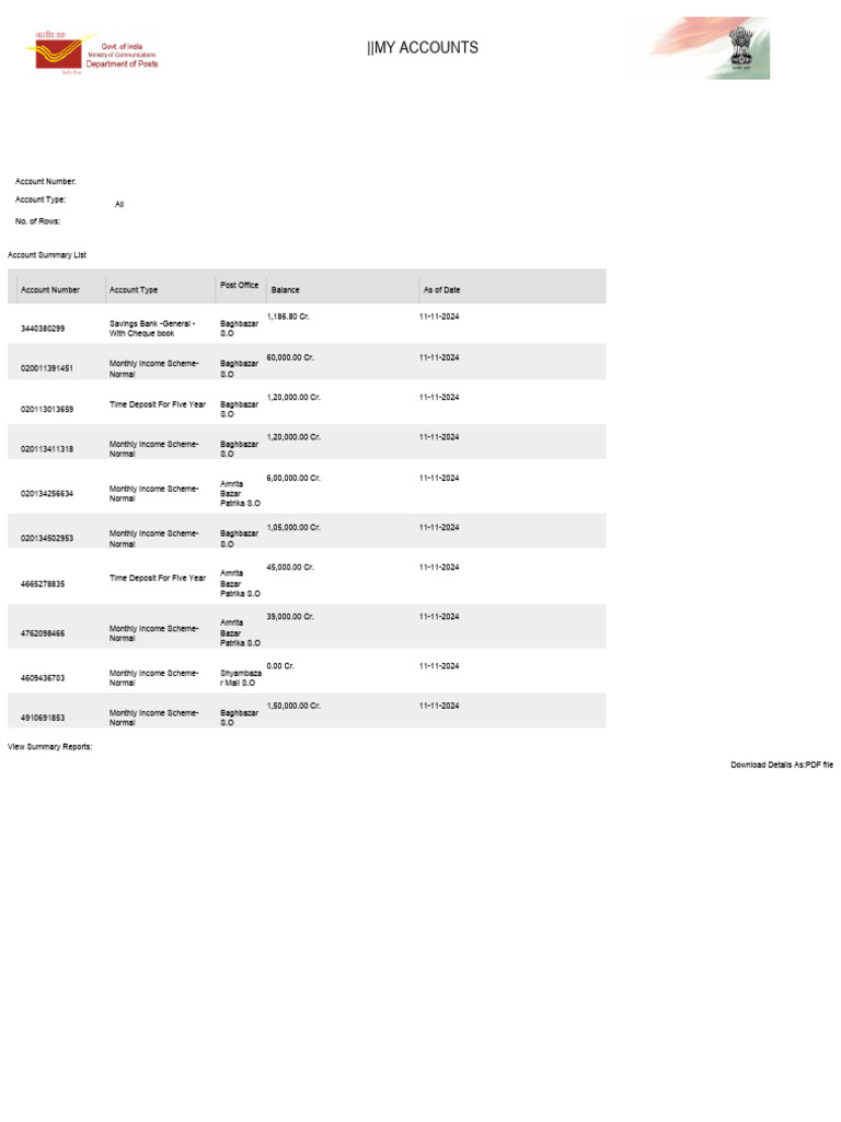 Account Summary and Balances Report | PDF | Financial Services | Banking