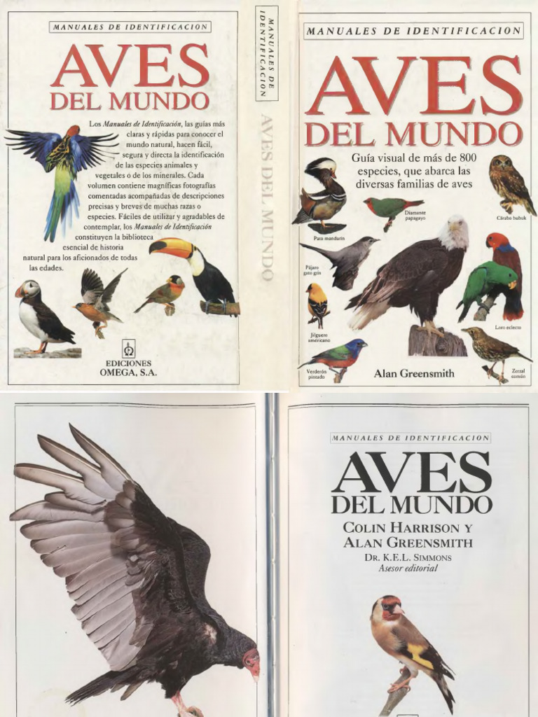 Animales Aves Del Mundo | PDF | Aves | Pollo