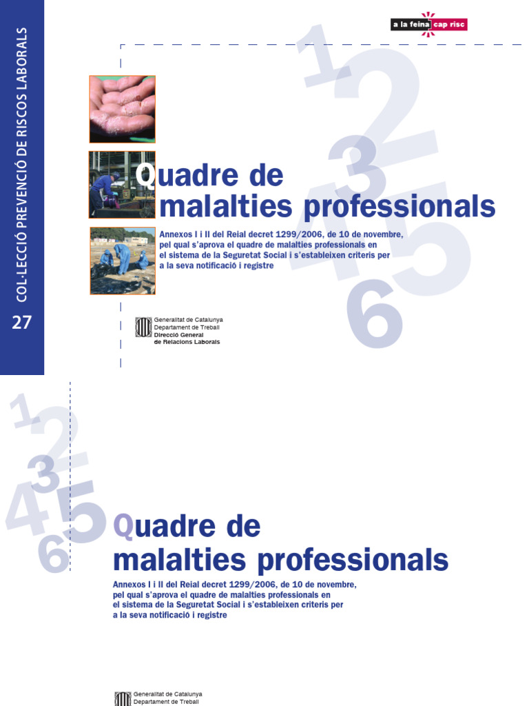 Quadre Malalties Professionals | PDF