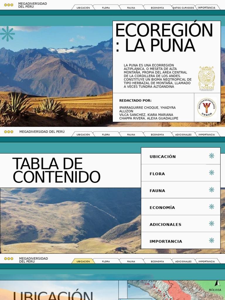Ecorregión La Puna | PDF | Perú | Geografía Física