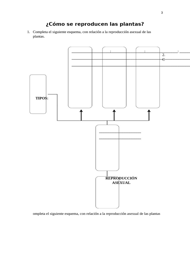 Cómo Se Reproducen Las Plantas.7docx | PDF | Reproducción | Naturaleza