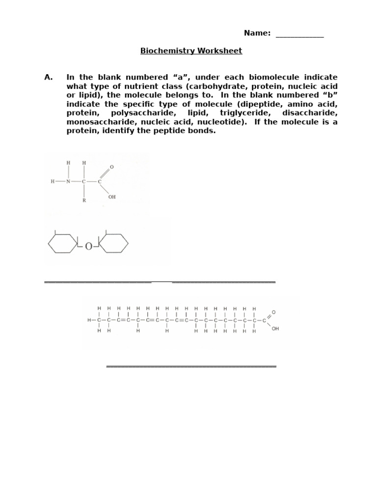 Biochemistry Worksheet | PDF
