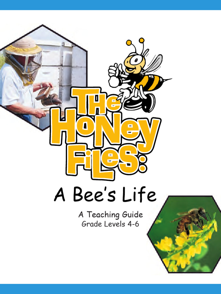 Basic Info About Bees | PDF | Bees | Honey Bee