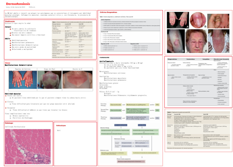 Clasificación y Diagnóstico Médico | PDF | Computers | Technology & Engineering