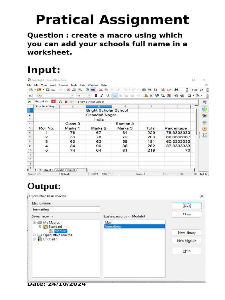 Pratical Assignment | PDF