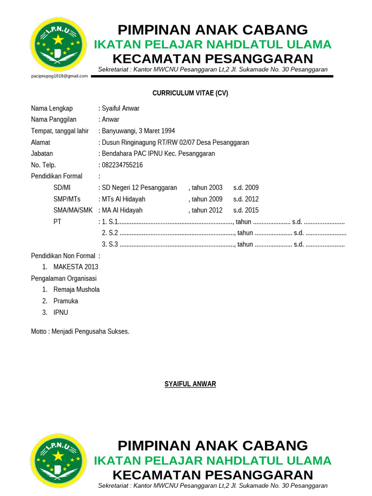 Curriculum Vitae CV JADI | PDF