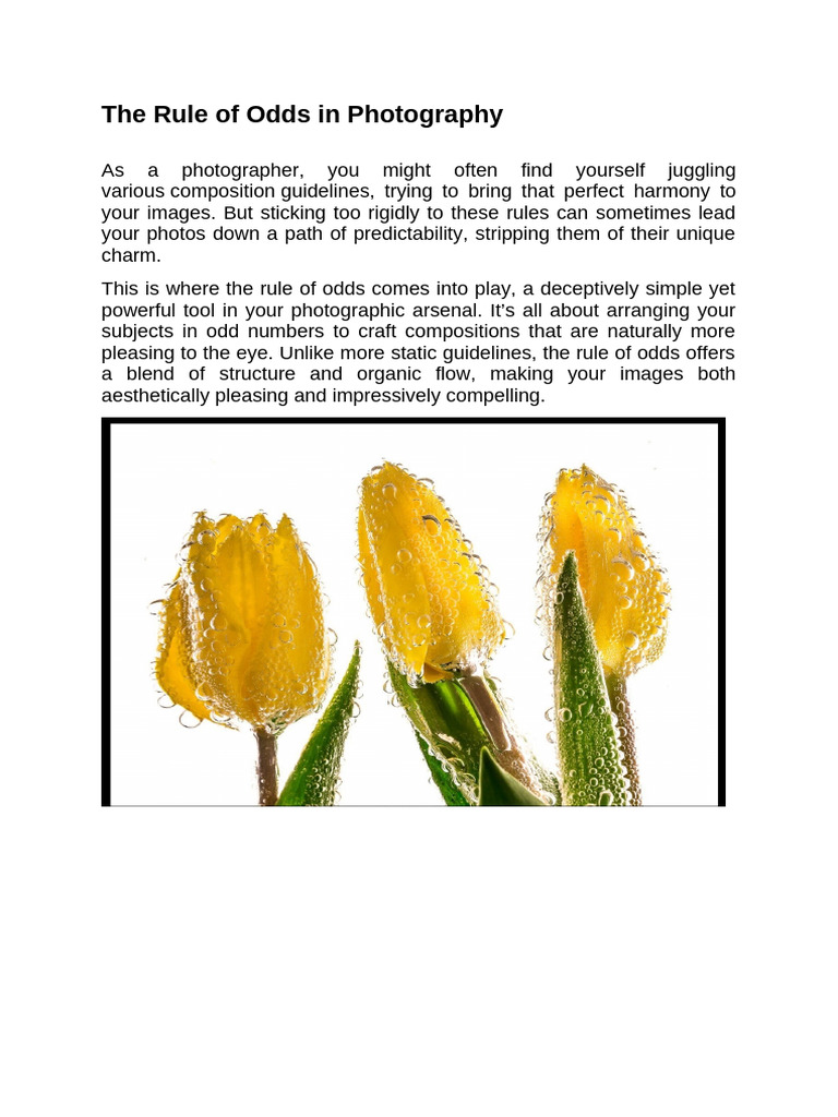 The Rule of Odds in Photography | PDF | Composition (Visual Arts) | Image