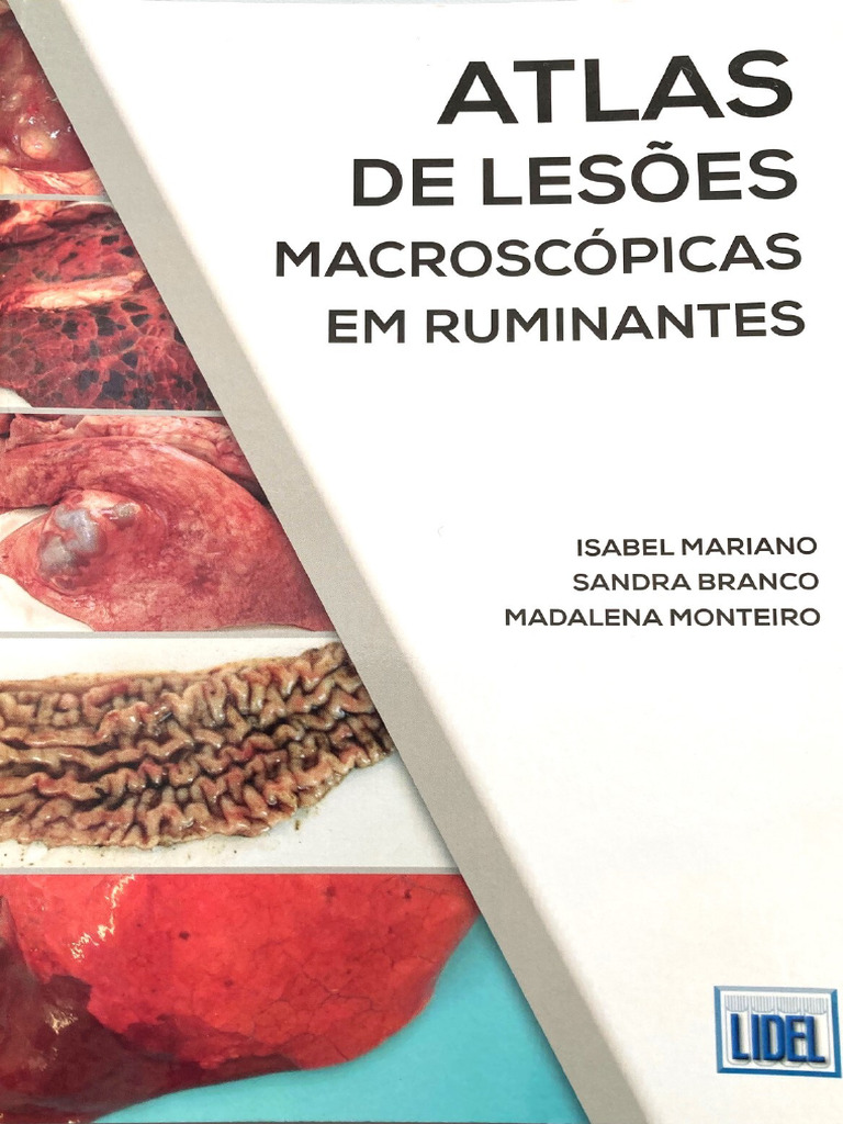 Atlas de Lesões Mac Rum. | PDF
