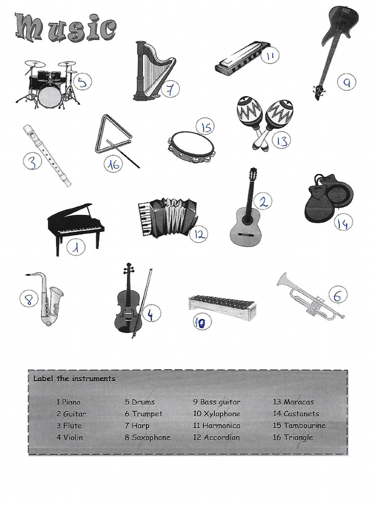 Instrument Os | PDF