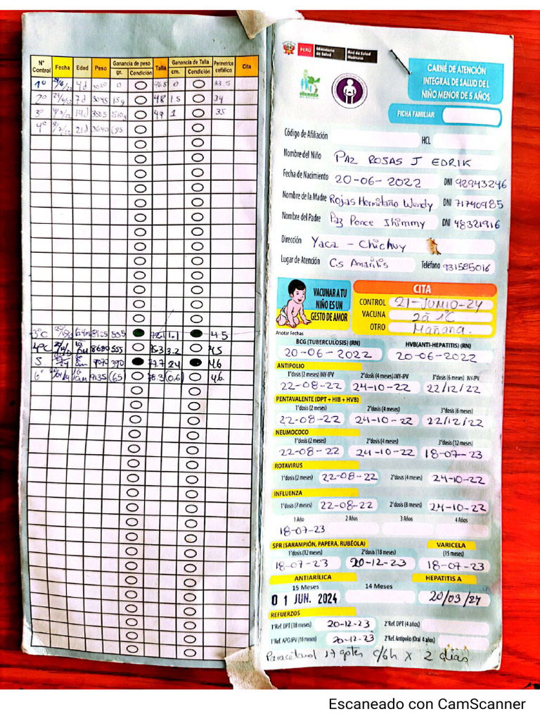 Erik Paz Rojas | PDF