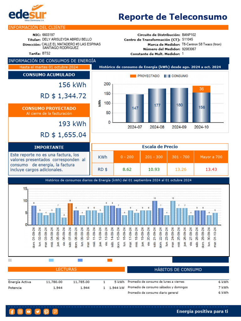 Factura Edesur | PDF | Energia electrica | Poder (Física)