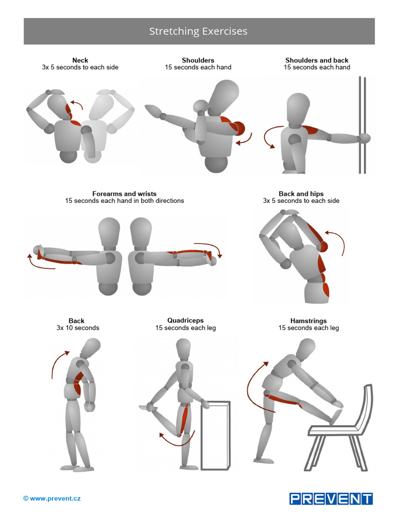 Stretching Exercises | PDF