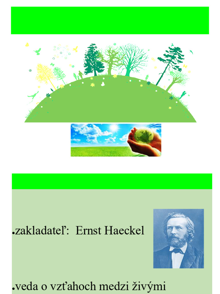 EkolÃ Gia 3 | PDF