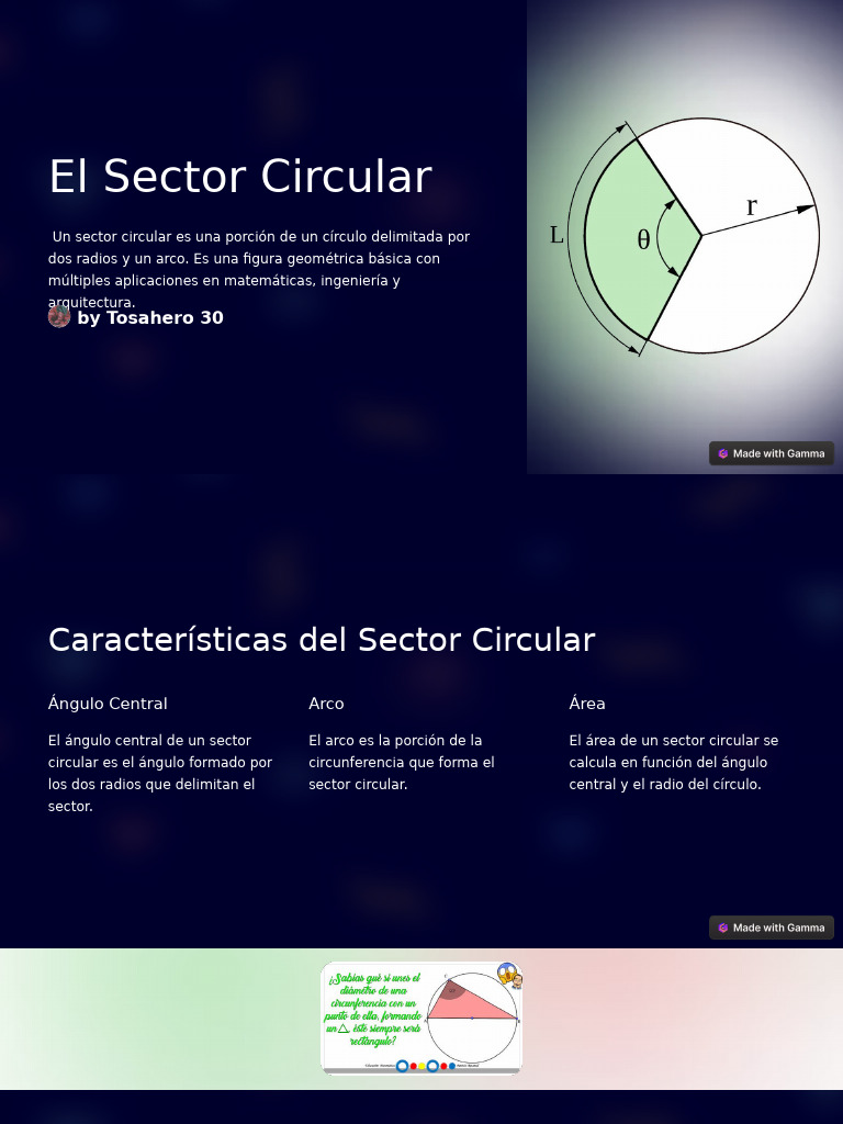 El Sector Circular | PDF | Curva | Ángulo