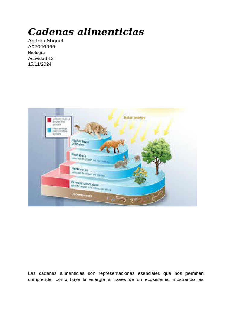 Bio Act 12 Andy | PDF | Ecología | Herbívoro