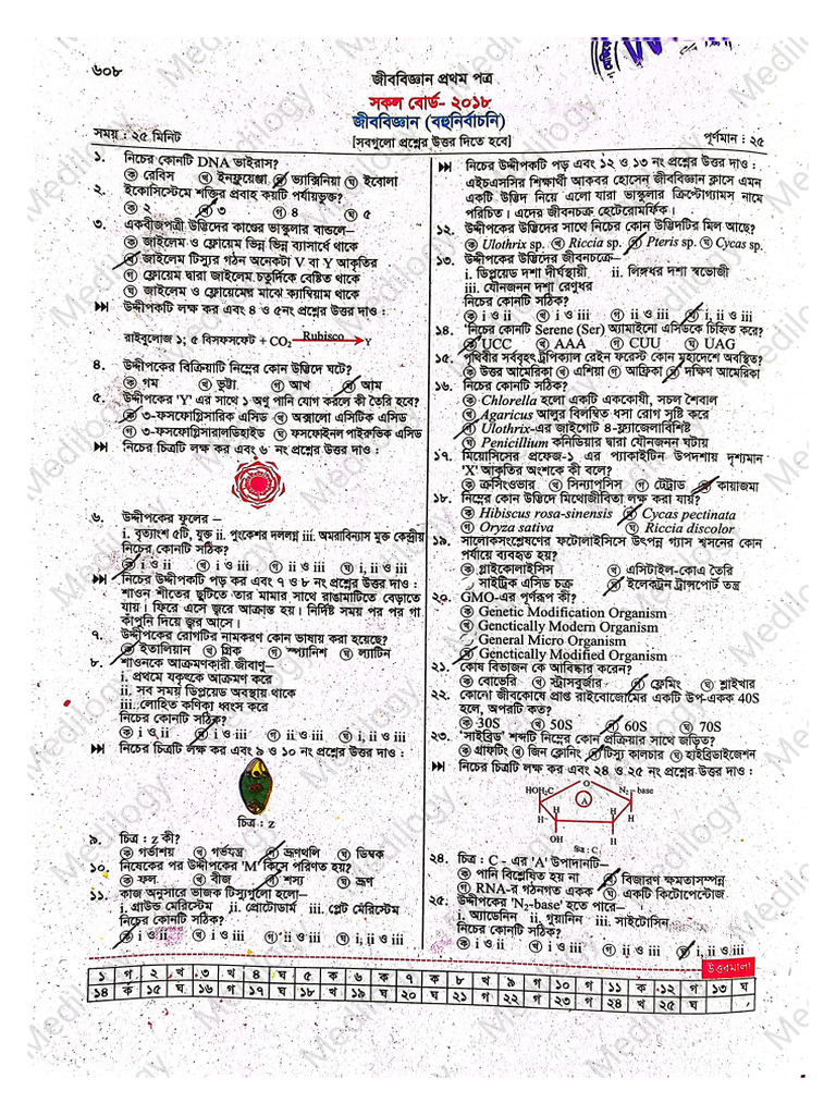 Botany - Board MCQ | PDF
