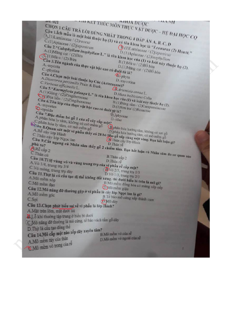 Đề Thi Tvd Full-k21- (7) | PDF