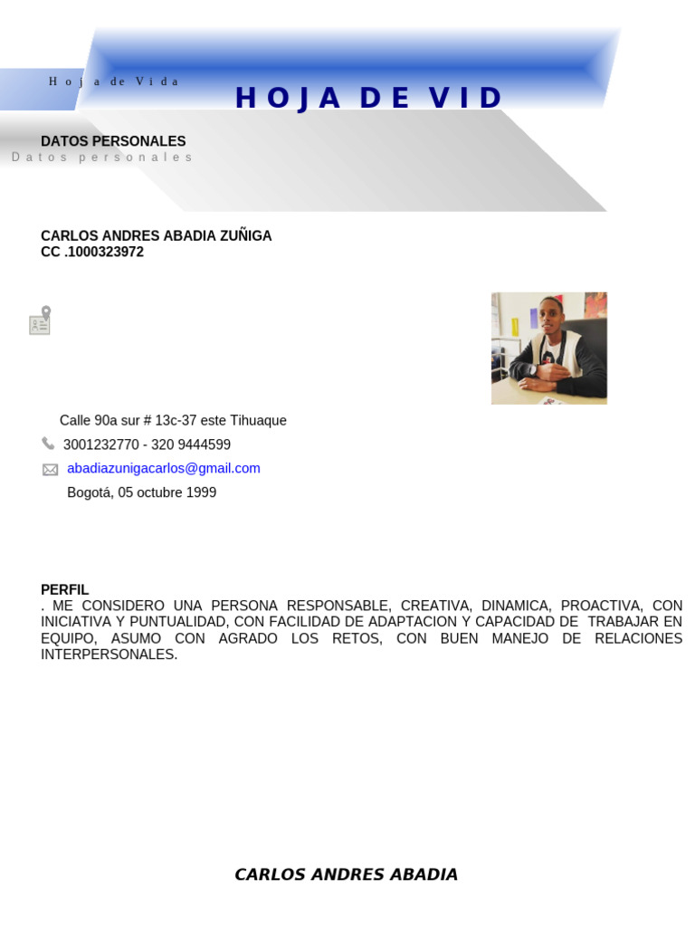 Hoja de Vida (2) Andres | PDF