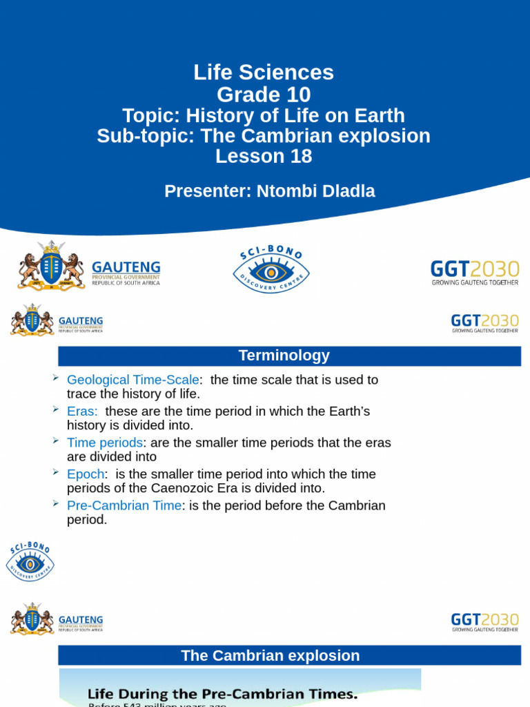 Life Sciences Gr.10 Lesson 18 Cambrian Explosion | PDF | Invertebrate ...