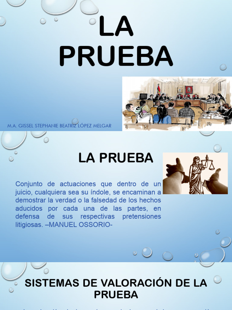 LA PRUEBA | PDF | Evidencia (ley) | Separación de poderes