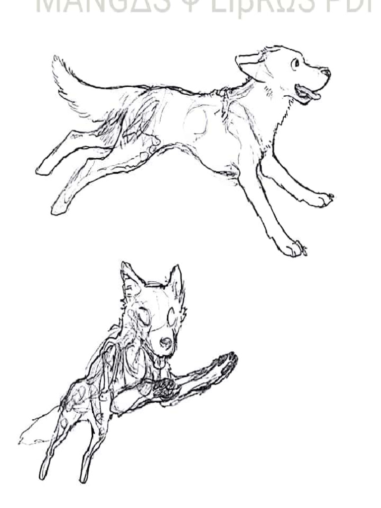 Drawing Dogs 2 | PDF