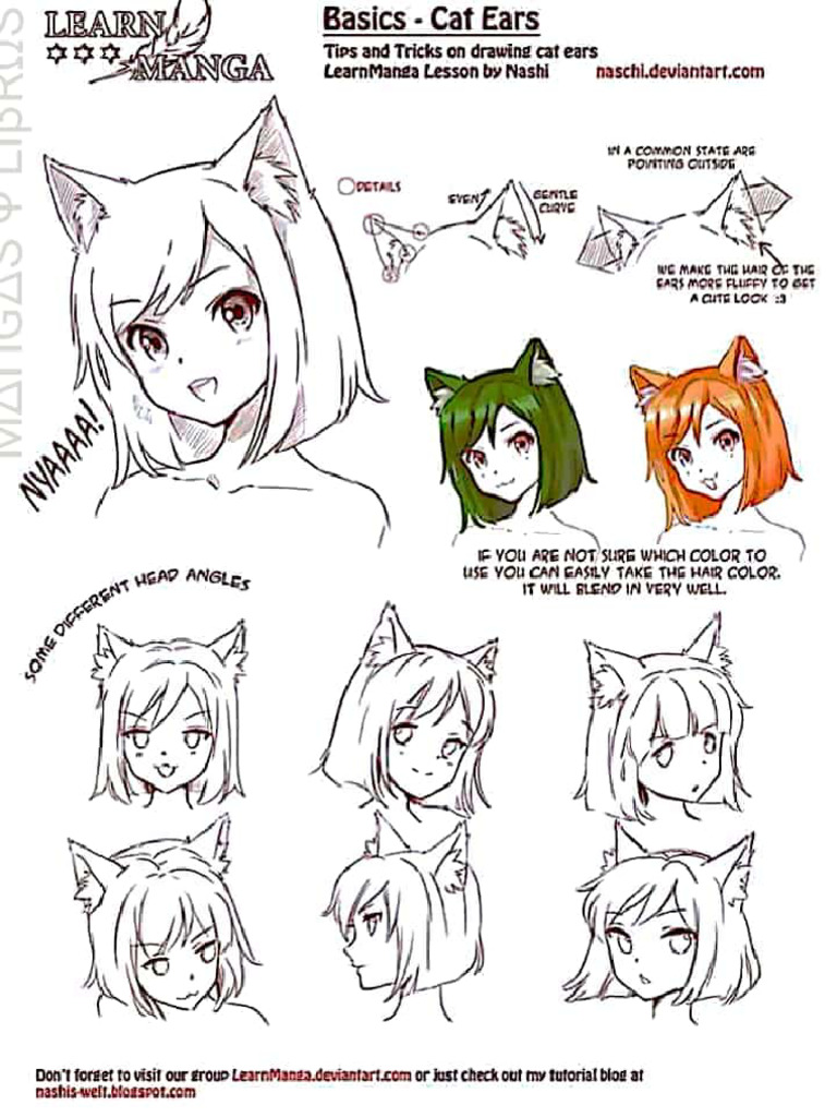 Drawing Furry Ears | PDF