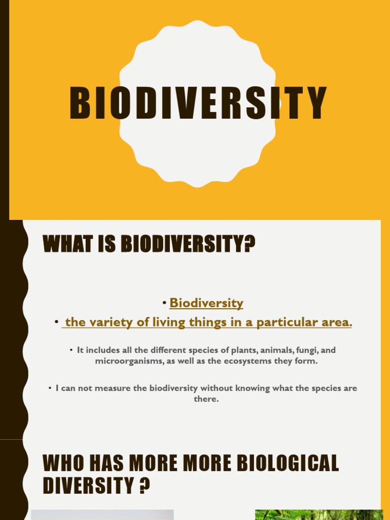 Understanding Biodiversity Basics | PDF