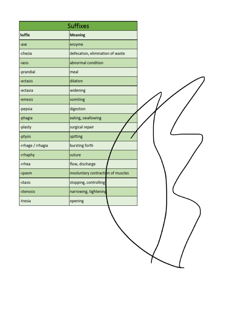Module 2 Suffixes | PDF | Science & Mathematics